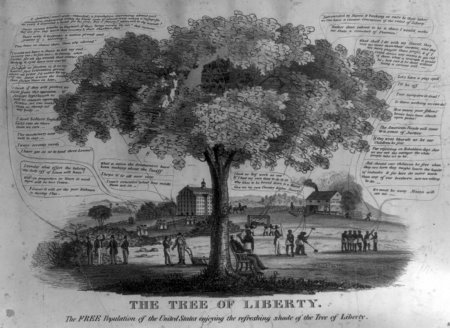 Tree of Liberty - Citizen U®