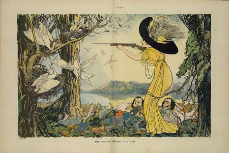 How Did Birds Gain Political Protection? - Civics Lesson Library